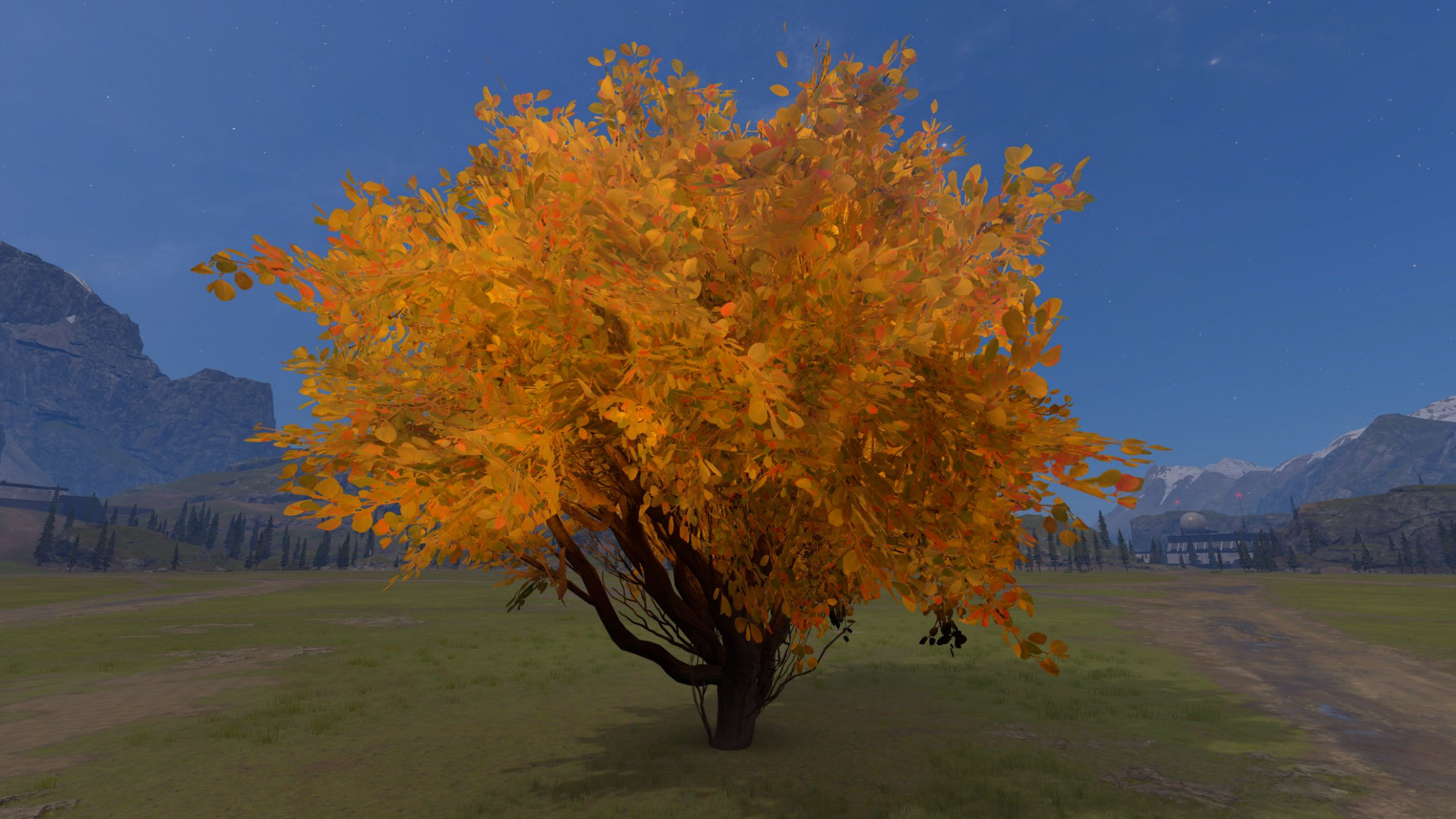 Autumn Tree Prefab Forgera