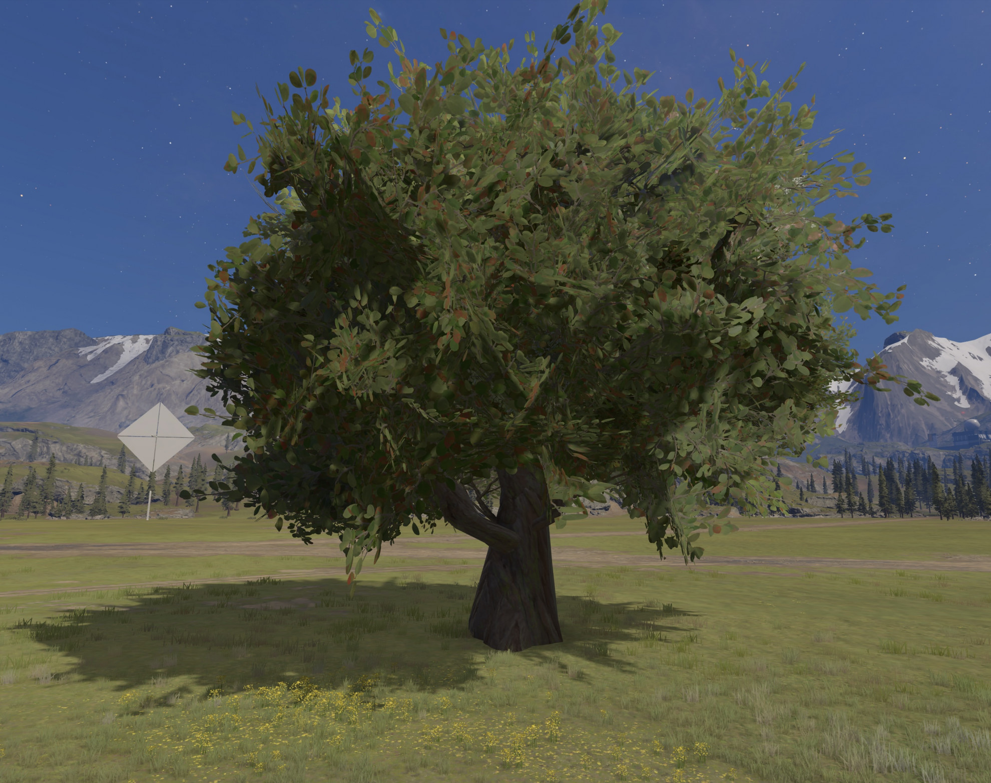 oak tree | Prefab | Forgera